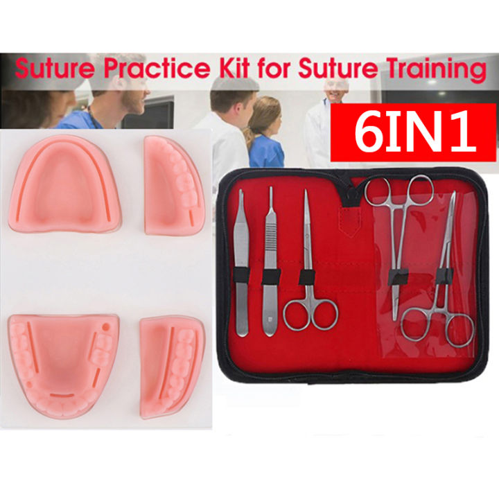 ทันตกรรม Oral Model Tissue Forceps Hemoatatic Clamp Suture Training ...