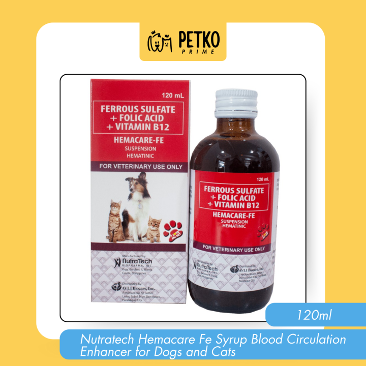 Hemacare FE - Ferrous Sulfate Syrup 120ml for Dogs and Cats | Lazada PH