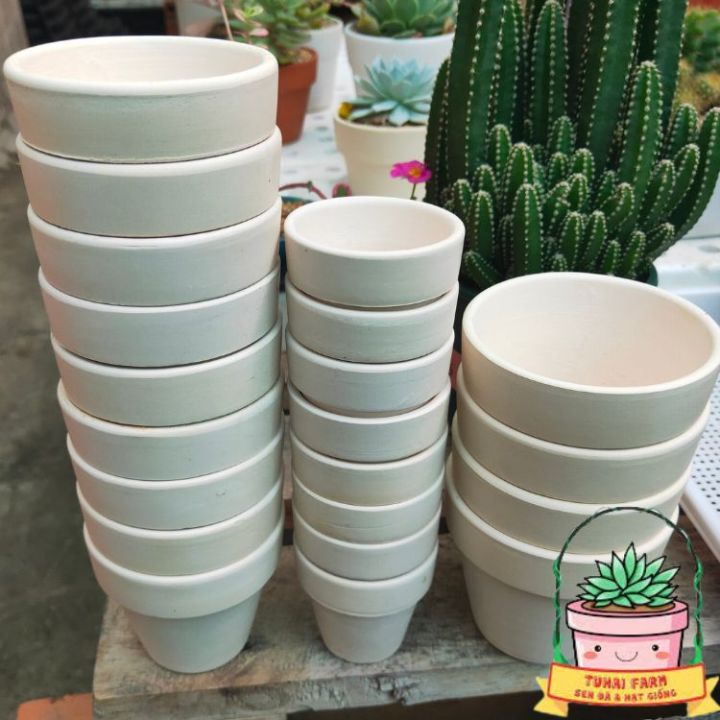 CHẬU ĐẤT NUNG MINI - CHẬU TRỒNG SEN ĐÁ, XƯƠNG RỒNG, BONSAI - NHIỀU KÍCH ...