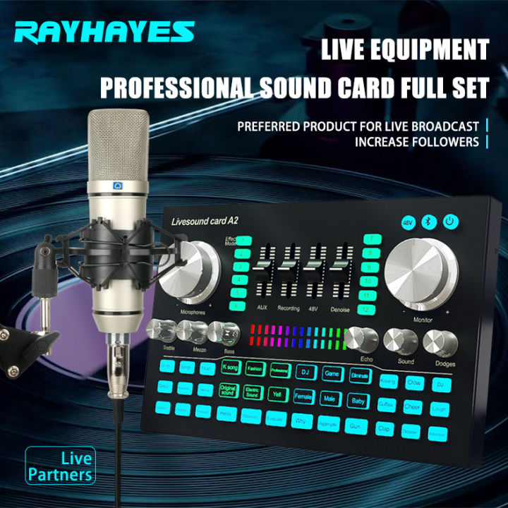 RAYHAYES A2 live sound card set/48V power supply/12 kinds of sound ...