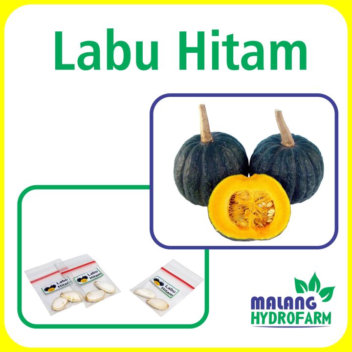 Benih Labu Hitam Unggulan Berkualitas bibit biji repack waluh ...