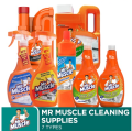Mr. Muscle Mold & Mildew Cleaner Primary Spray 500ml | Lazada PH