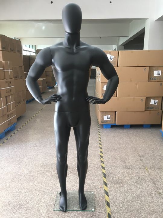 Male Sports mannequin with Muscle Build-Full Body | Lazada PH