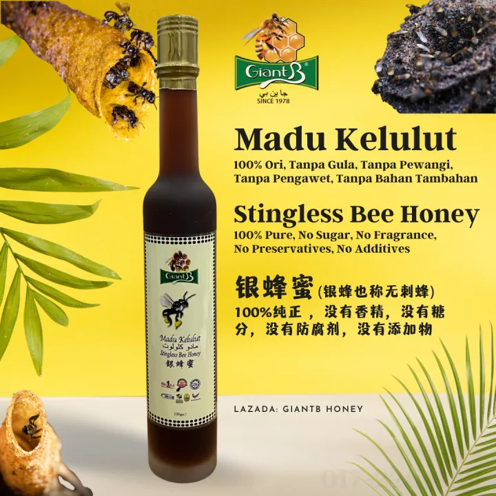 Kelulut Madu Kelulut Giant B Stingless Bee Honey 银峰蜜 520gm | Lazada