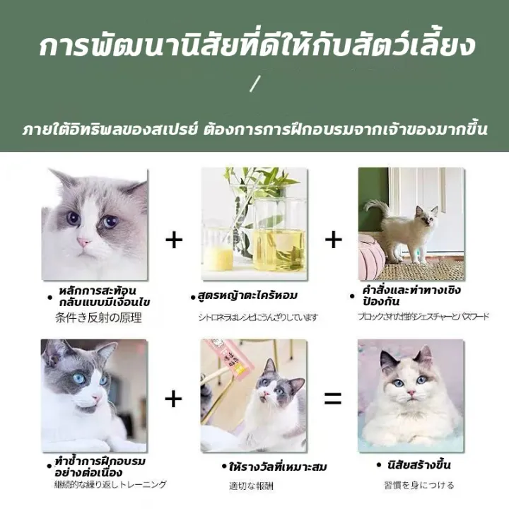 🐱แค่ได้กลิ่นก็หนีแล้ว🚫Hb ไล่แมว สเปรย์ไล่แมว ยาไล่แมว ไล่หมา สเปรย์ ...