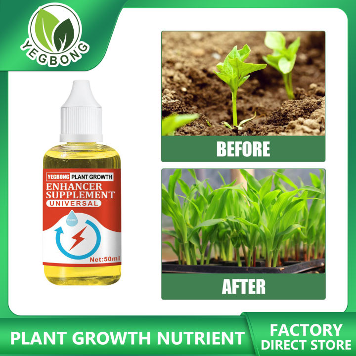 Yegbong Rooting Liquid Plant Rapid Rooting Agent Flower Plant Strong ...
