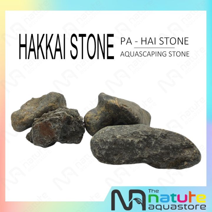 HAKKAI STONE / PA - HAI STONE 2KG | Lazada