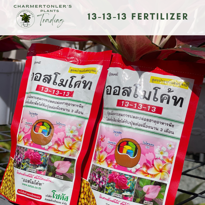 13-13-13 Fertilizer | Lazada PH