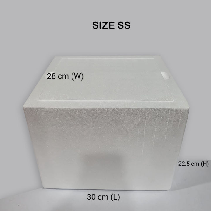 STYROFOAM ICE BOX/ COOLER BOX/ PICNIC BOX/ FOAM BOX | Lazada