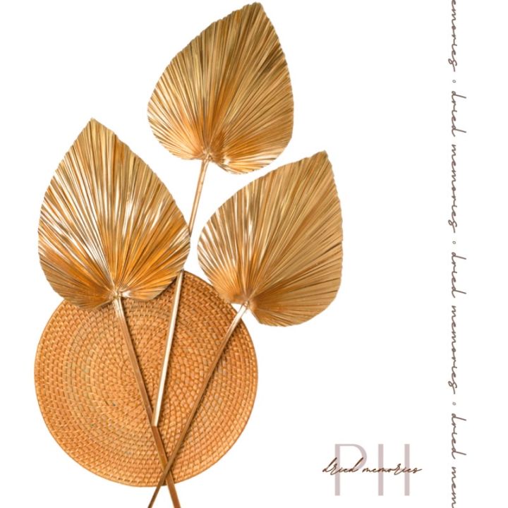 Dried Gold Palm Spear Anahaw Dried Flowers Dried Memories PH | Lazada PH