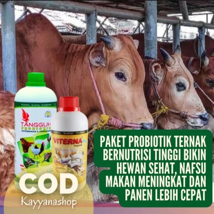 nutrisi Ternak Babi probiotik vitamin ternak organik | Lazada Indonesia