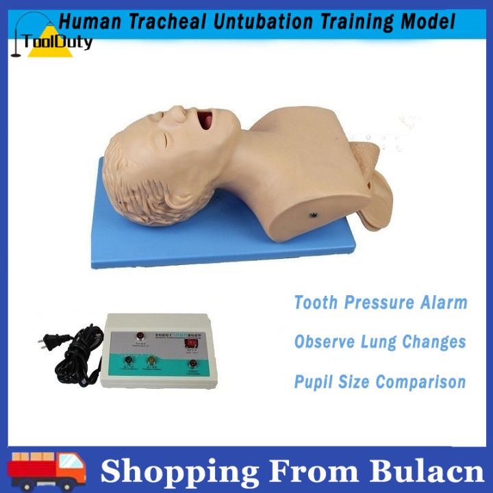 【Local Stock】Adult Intubation Manikin Study Teaching Model Airway ...