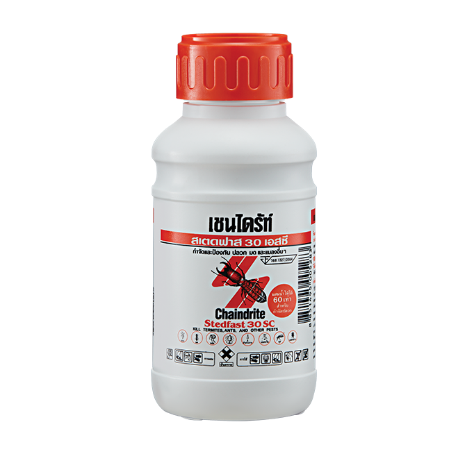 เชนไดร้ท์ 30SC Chaindrite Stedfast 30 ขนาด 500 ml. น้ำยากำจัดปลวก มด ...