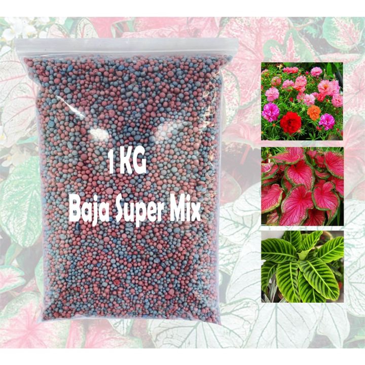 1kg Baja Super Mix Baja Mix SuburBungaBuah Paksa Gemuk | Lazada