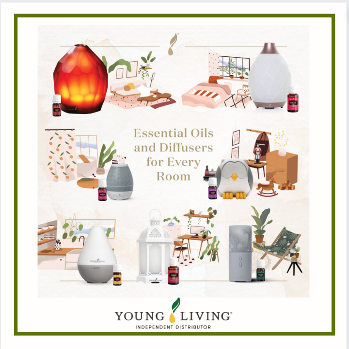 Young Living Diffuser Set - Dewdrop Diffuser Version 2 / Desert Mist ...