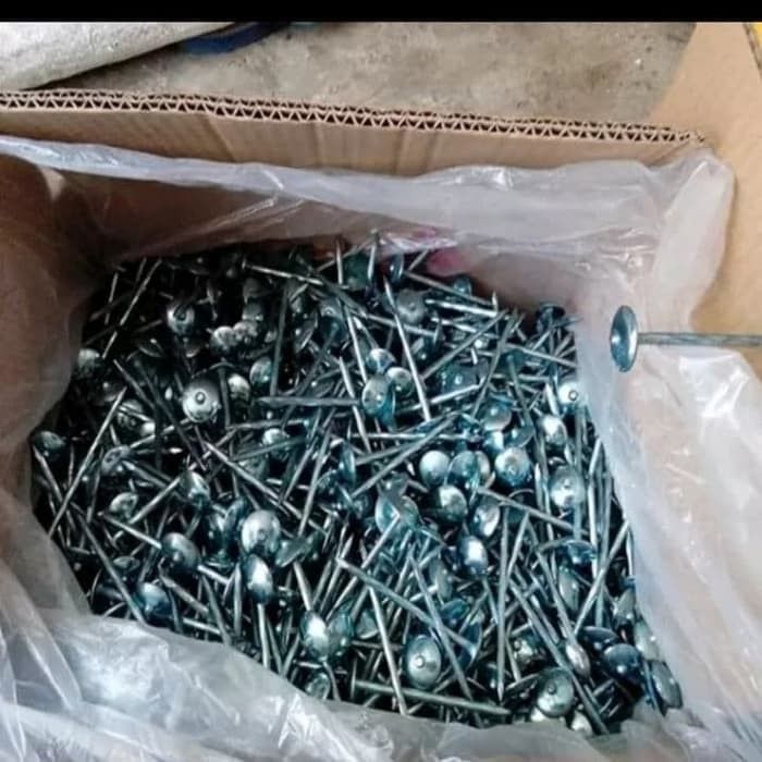 PAKU PAYUNG 5 CM / PAKU SENG ASBES ULIR CURAH 2 INCH PER KG | Lazada ...