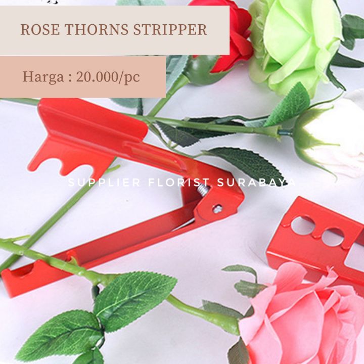ROSE THORNS ROSE THORN STRIPPER PENCABUT PEMBERSIH PENGHILANG DURI ...