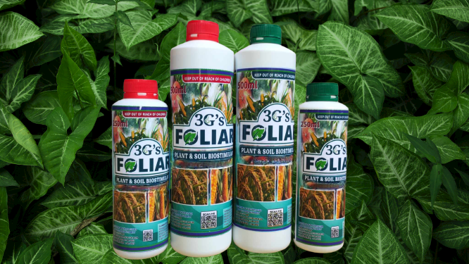 NH 3g's Foliar Soil & Plant Organic Fertilizer Red & Green Cap (500ml ...