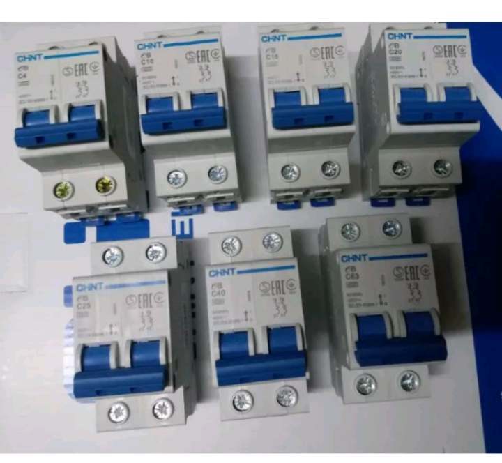 CHINT MINIATURE CIRCUIT BREAKER 2POLE | Lazada PH