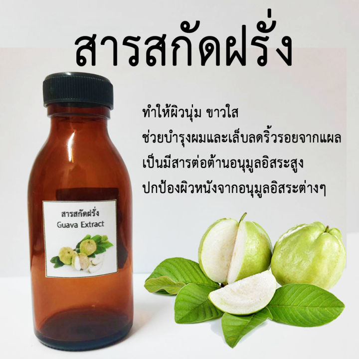 สารสกัดฝรั่ง Guava Extract 100 ml | Lazada.co.th