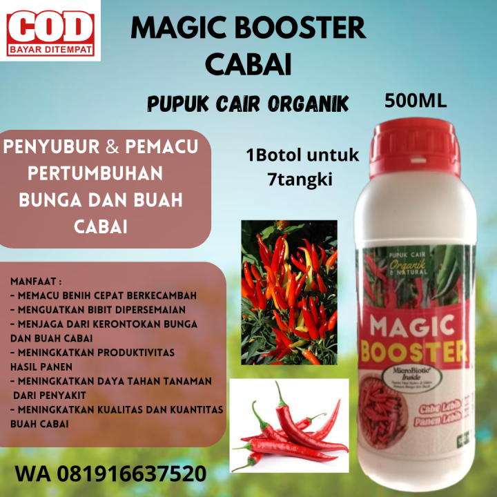 MAGIC BOOSTER CABAI - PEMACU PERTUMBUHAN CABAI, BUNGA, DAUN, DAN BATANG ...