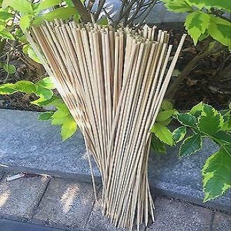 BAMBOO STICK FOR PLANT SUPPORT / ALTERNATIVE COCOPOLE / FOR YOUR LOVELY ...