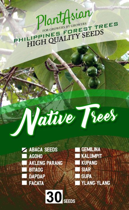 ABACA TREE SEEDS | Lazada PH