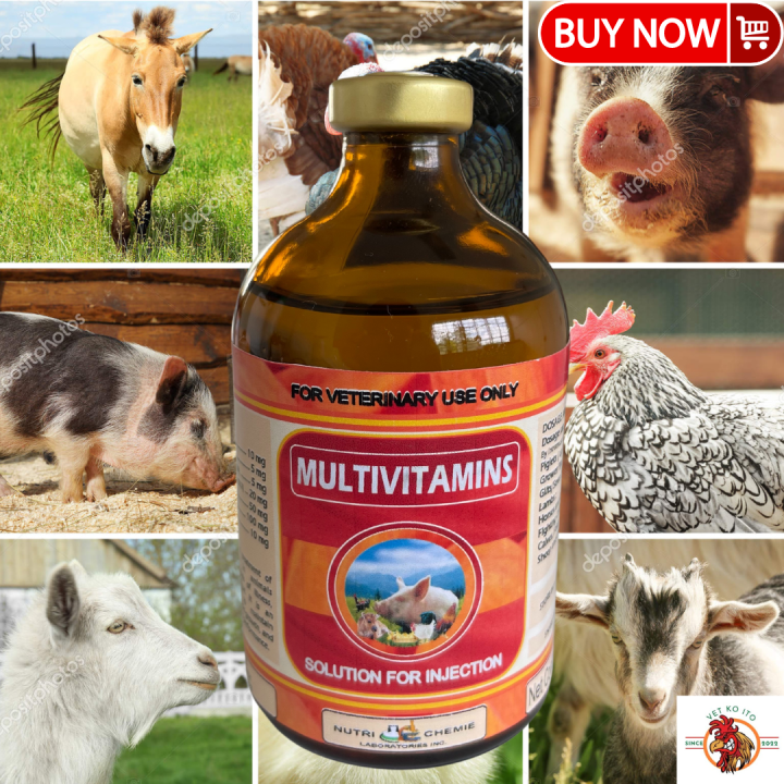 Multivitamins for Animals Injectable/ 100ml | Lazada PH
