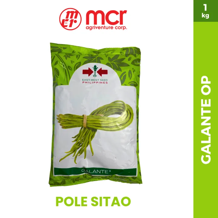 East-West Seed POLE SITAO GALANTE OP 1kg | Lazada PH
