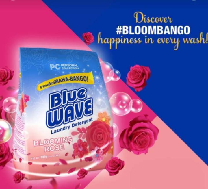 Blue Wave Pabric Laundry Detergent 800g and Diswàshing liquid | Lazada PH