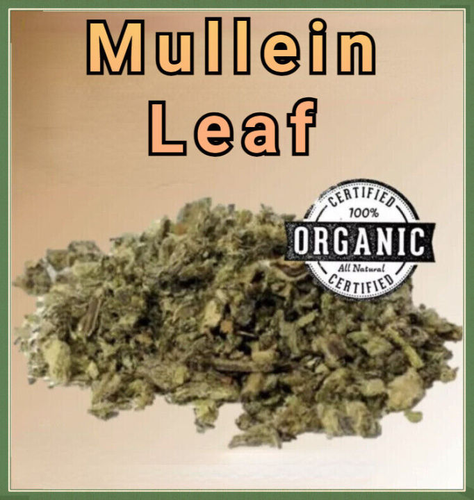 ORGANIC MULLEIN AUSTRALIA - Best Quality Dried Mullein Leaf Tea Herb ...