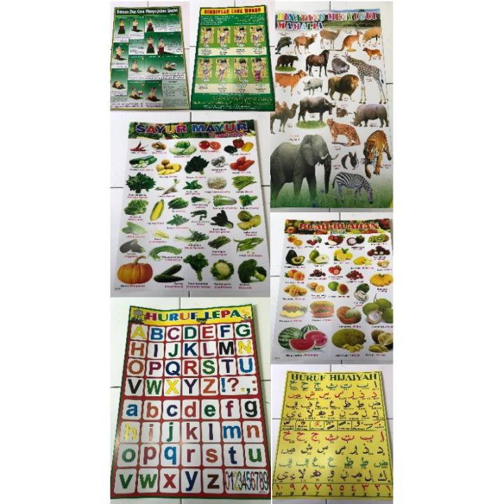 Poster edukasi belajar anak poster abcd Hijaiyah binatang buah sayur | Lazada Indonesia
