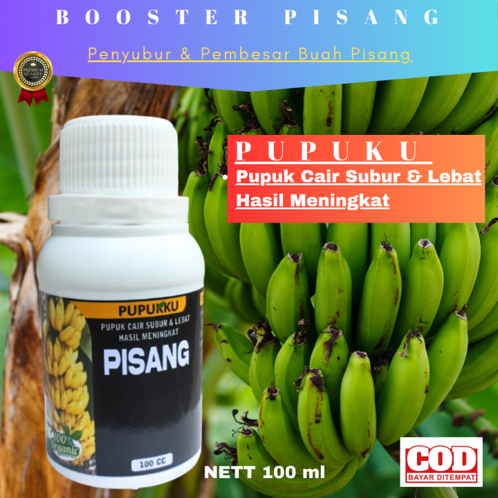 Pupuk Penyubur Pohon Pisang Pupuk Pisang Cepat Berbuah Pupukku Booster Pembesar Buah Pisang ...