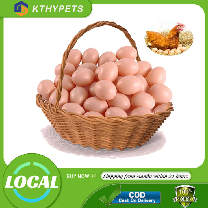11Pcs Plastic fake eggs for chicken Artificial dummy eggs Poultry ...