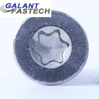 Screw - Torx Recess | Lazada