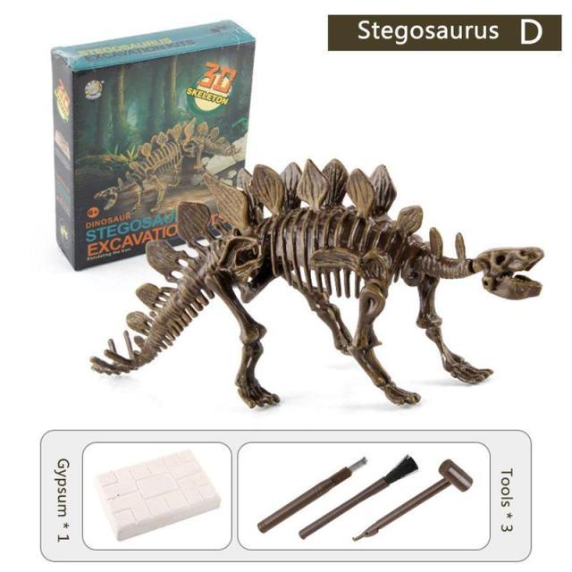 Kids Dinosaur Toy DIY Fossil Archaeology Excavation Kit Skeletons Dig ...
