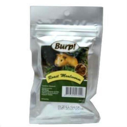 BURP AIR DRIED ROAST MEALWORM 11.5g | Lazada