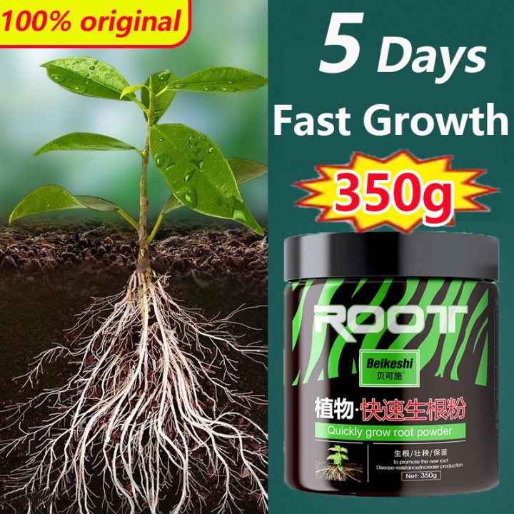 Super growth fertilizer Plant Growth Powder Plant Nutrient Solution ...