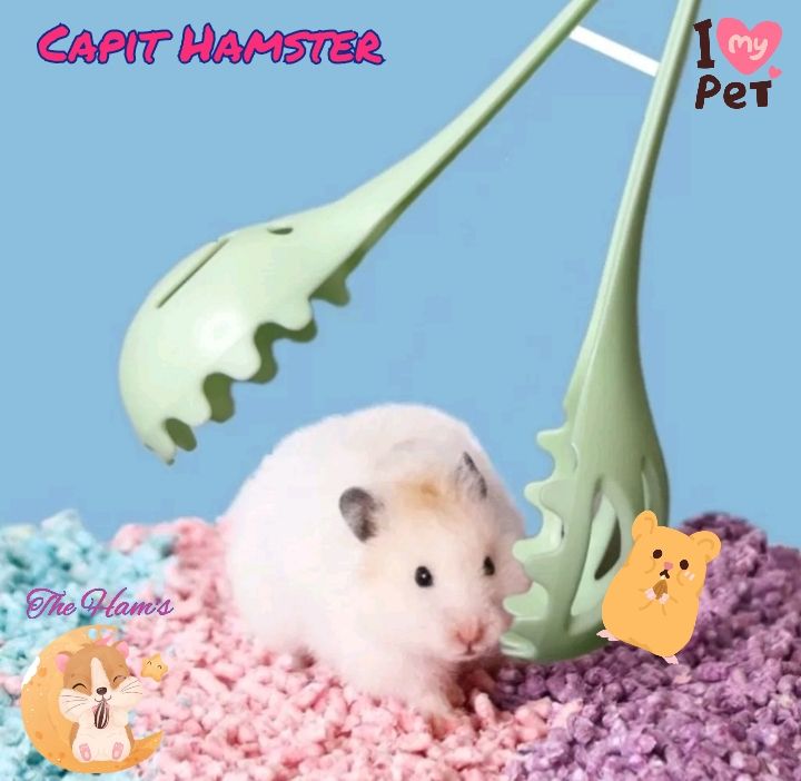 (The Ham's) Capit Alat Penangkap Pemindah Hamster Aman Tanpa Digigit ...