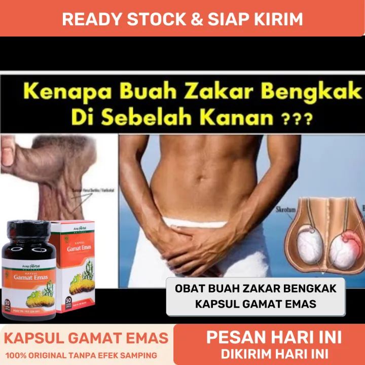 Obat Buah Zakar Bengkak, Obat Testis Besar Sebelah Kanan Kiri, Sakit ...