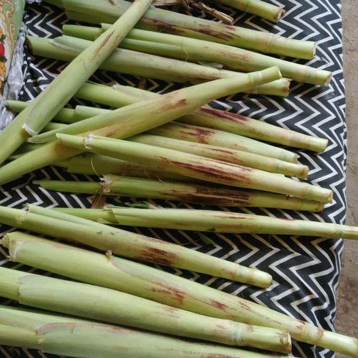 (cod) 1 kg sayuran turubuk telur turubuk segar fresh | Lazada Indonesia