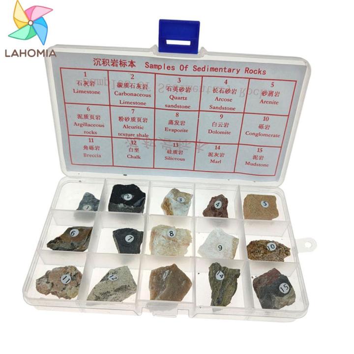 lahomia Sedimentary Rock Educational Collection Geology Science | Lazada PH
