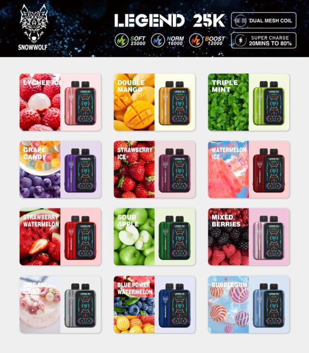 SNOWWOLF 25000PUFFS 1.0 Mesh Coil Display Screen DISPOSABLE POD KIT ...