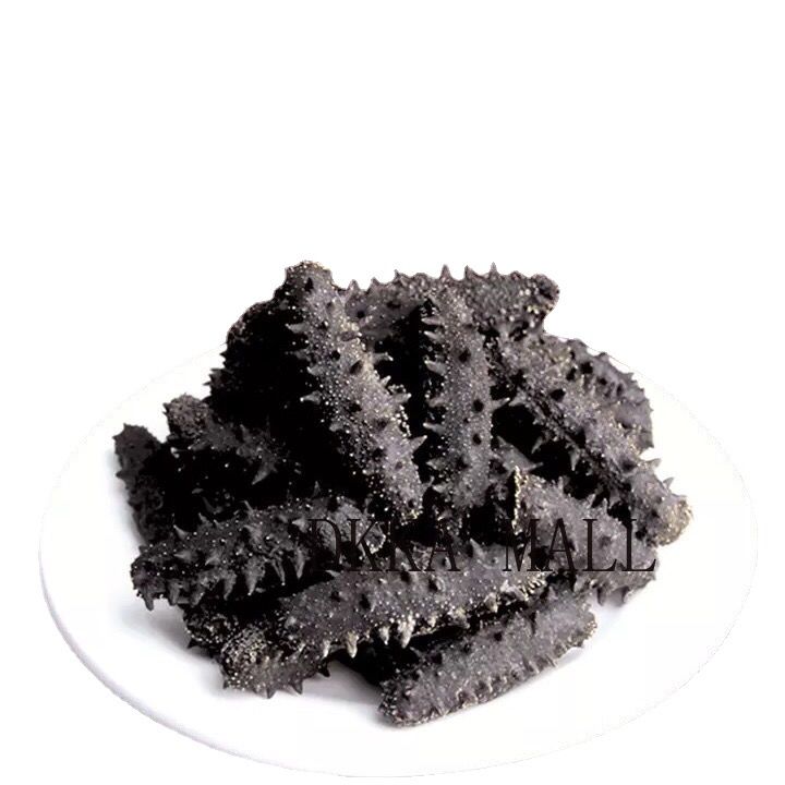 （Fast shipping） [Dalian Fresh Sea Cucumber] 7-year Ginseng 3.5-4cm Liao ...