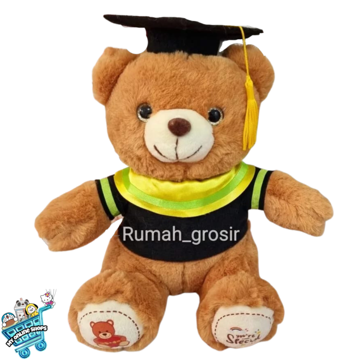 Boneka Wisuda Beruang Graduation Kelulusan Toga | Lazada Indonesia