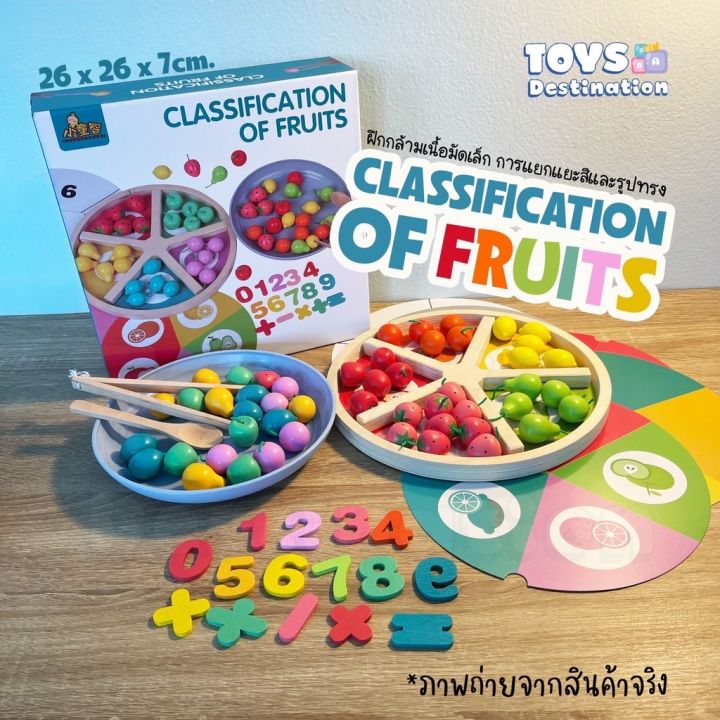 พร้อมส่งในไทย Classification of Fruits แยกสี แยกผลไม้ สื่อสอนเลข บวกเลข ...