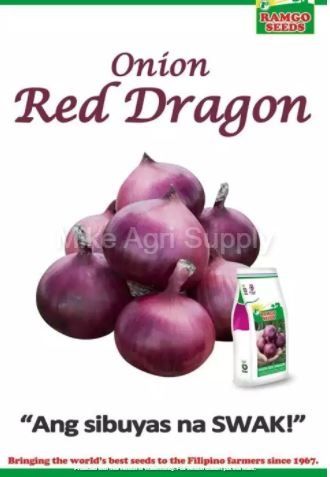 Ramgo Red Dragon Hybrid Red Onion 25,000 seeds (approximately 100grams ...