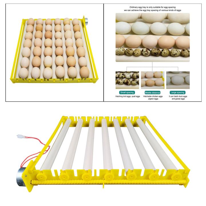 Couveuse A Oeuf Automatique Automatic Egg Incubator Tray - 45° Turning ...