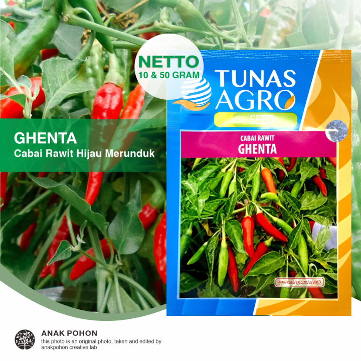 (1 PACK) Benih Cabai Rawit GHENTA Hijau Merunduk Lalapan Seeds - Tunas ...