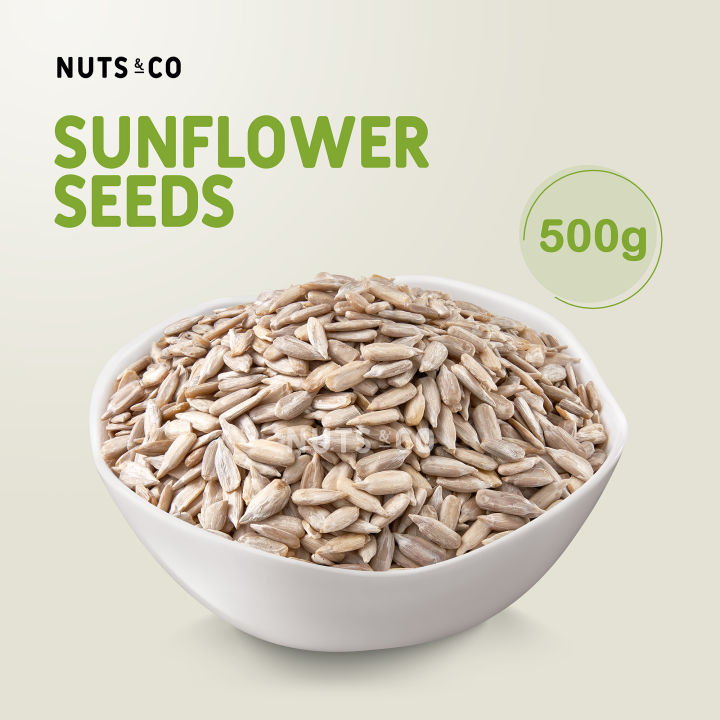 Nuts & Co Sunflower Seed 500g/1kg Kuaci Bunga Matahari 葵花籽 Halal Ready ...